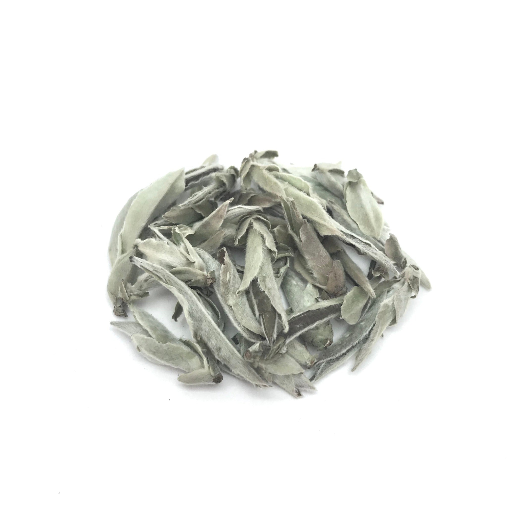 Organic Wild Nan Mei White Tea – Cha Chai Tea